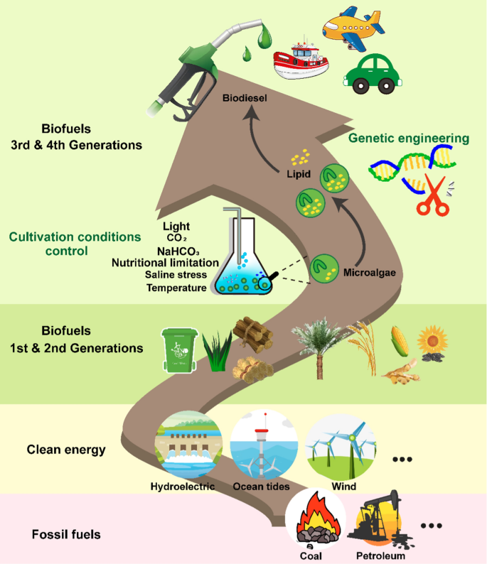 Recent Posts Section